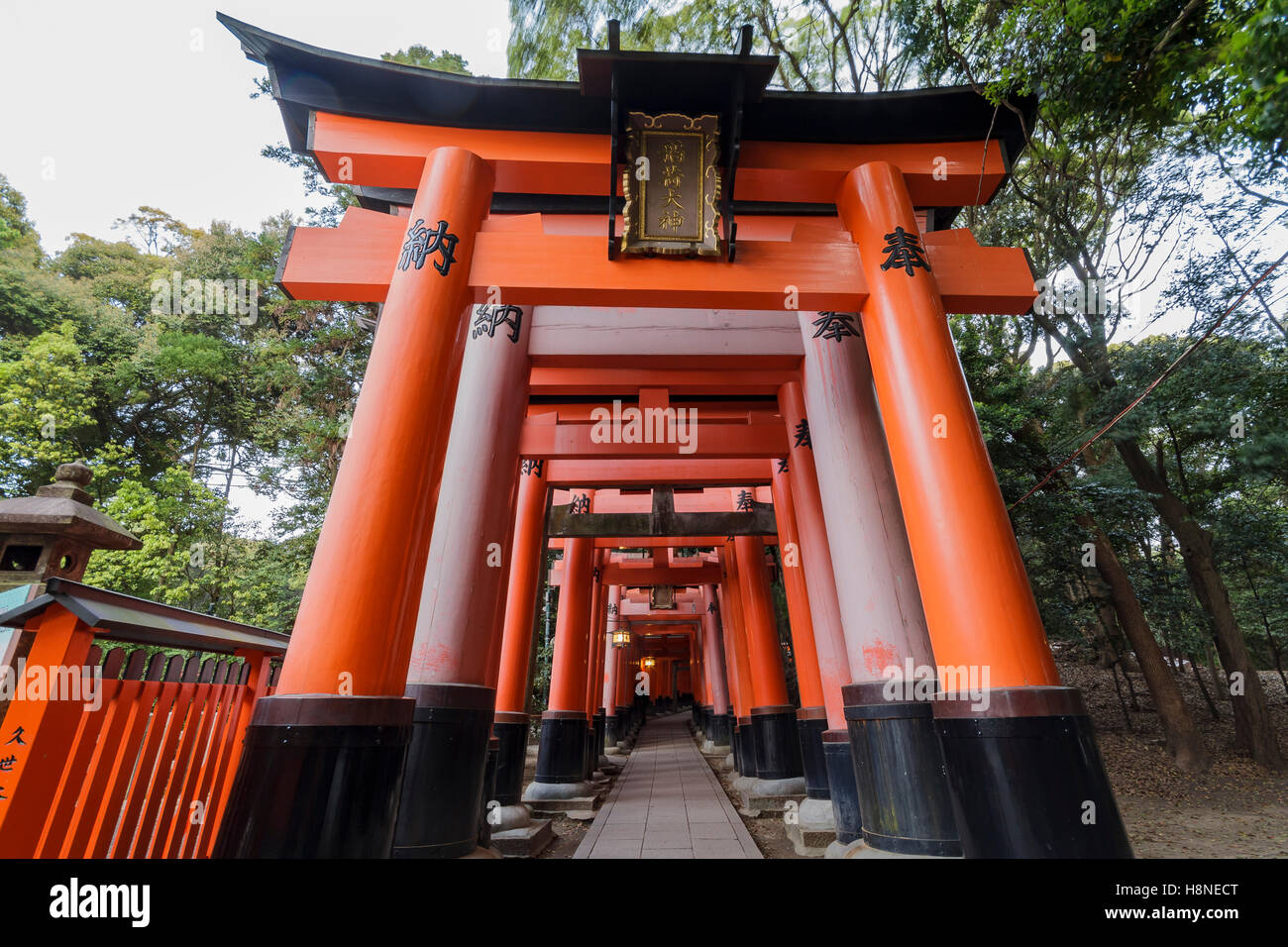 The famous Fushimi Inari-taisha in Fushimi-ku, Kyoto, Japan Stock Photo ...