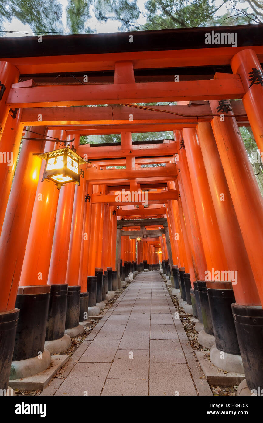 The famous Fushimi Inari-taisha in Fushimi-ku, Kyoto, Japan Stock Photo ...