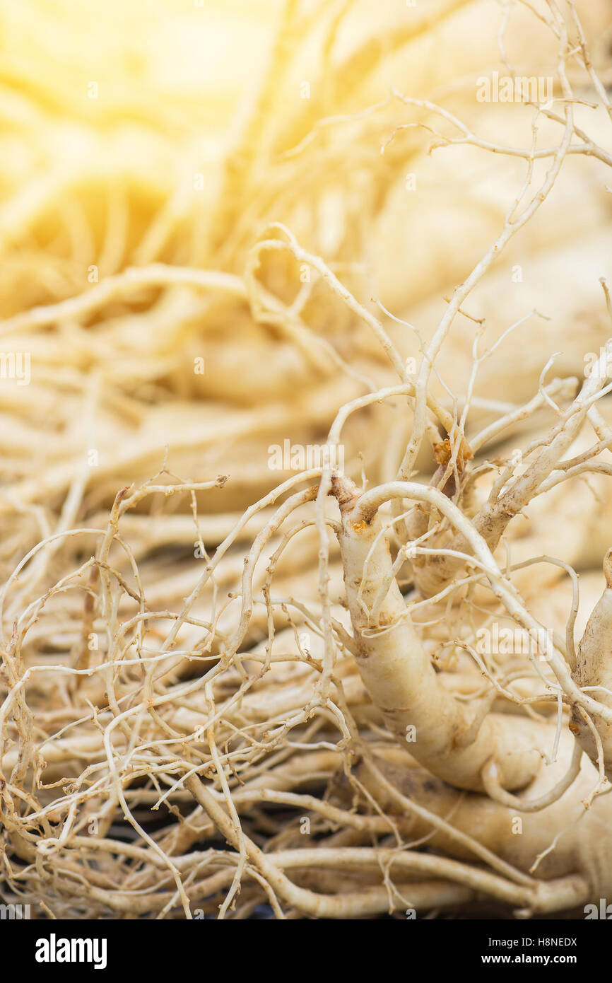 Ginseng Roots High Resolution Stock Photography and Images - Alamy