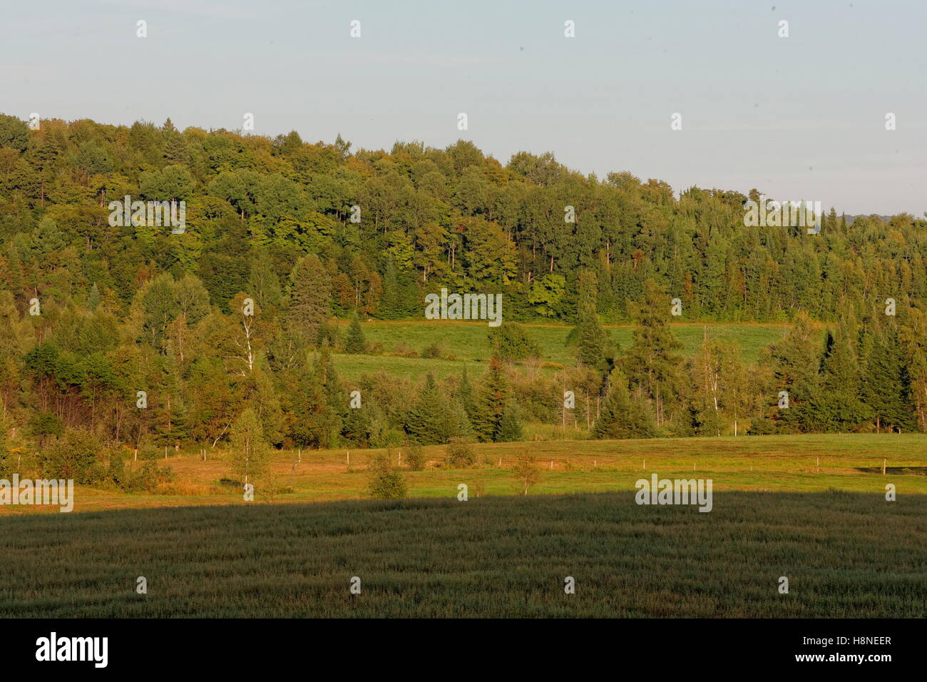 Small scale farming Stock Photo - Alamy