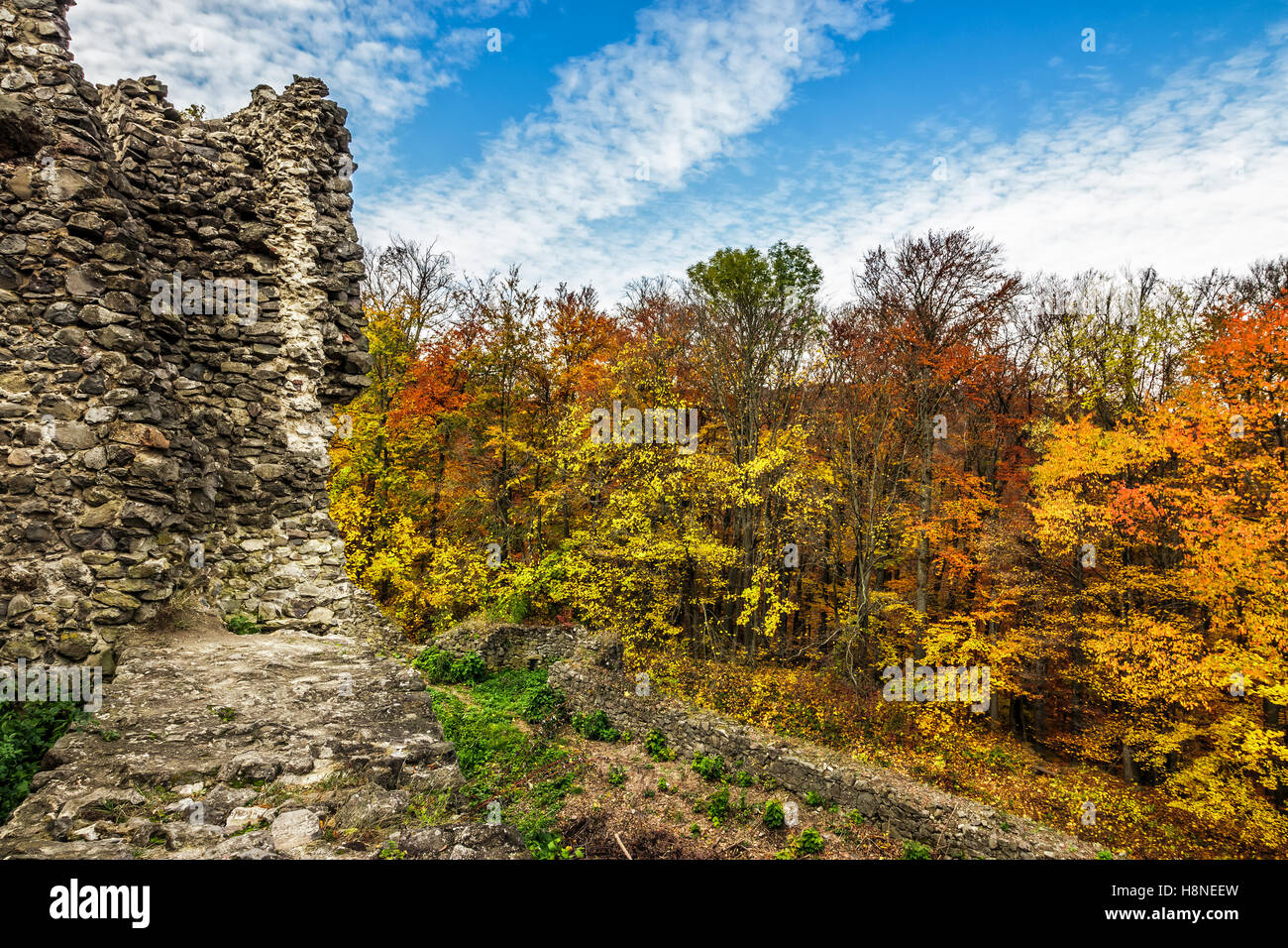 Stone wall of an old ruined castle in the autumn forest with foliage ...