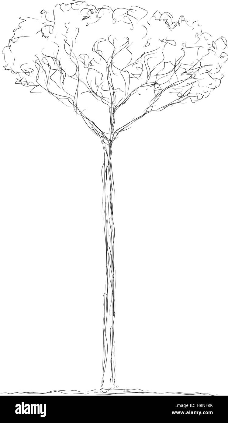 vector illustration tree Stock Vector Image & Art - Alamy