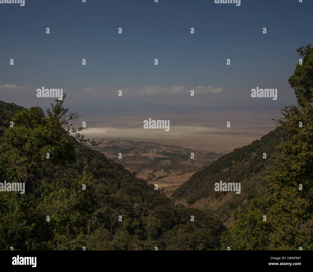 A view of the Ngorongoro Crater from the lip of the caldera Stock Photo ...