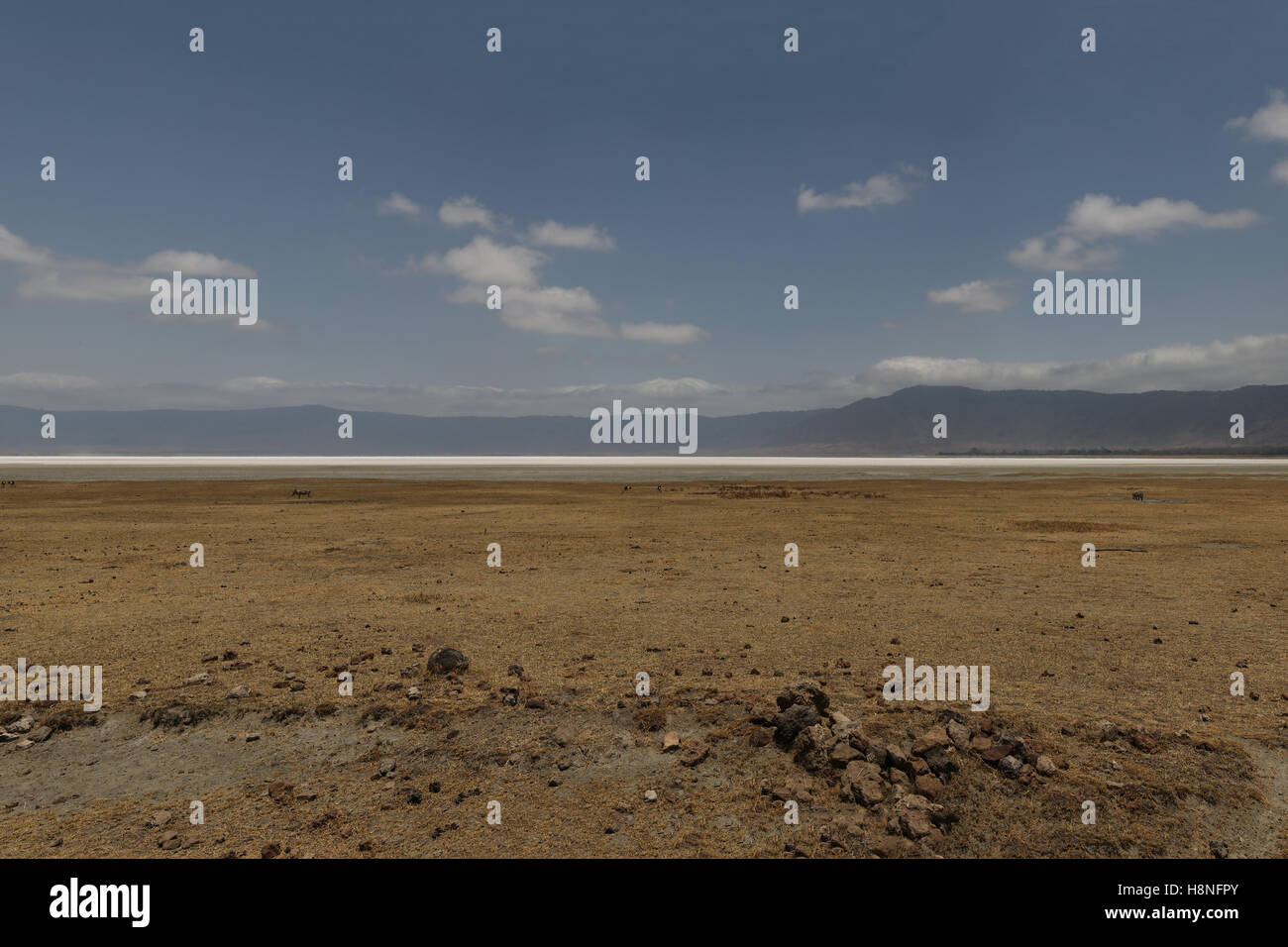 Ngorongoro Crater, Tanzania showing the caldera and the salt lake Stock ...