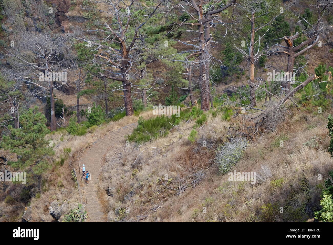 Tourists walking down a steep path towards the shoreline near Prazeres ...