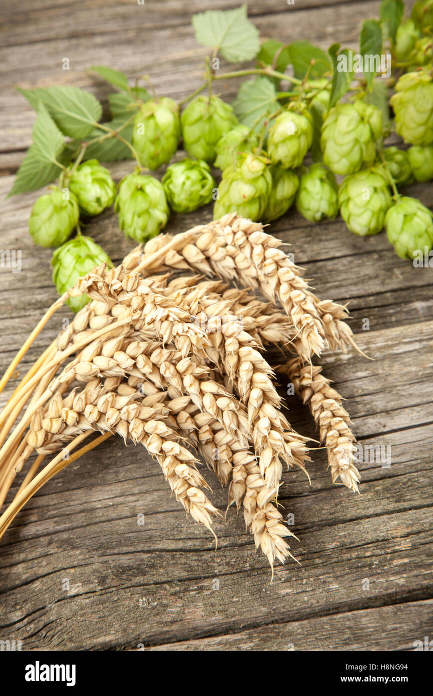 Malt and hops Stock Photo - Alamy