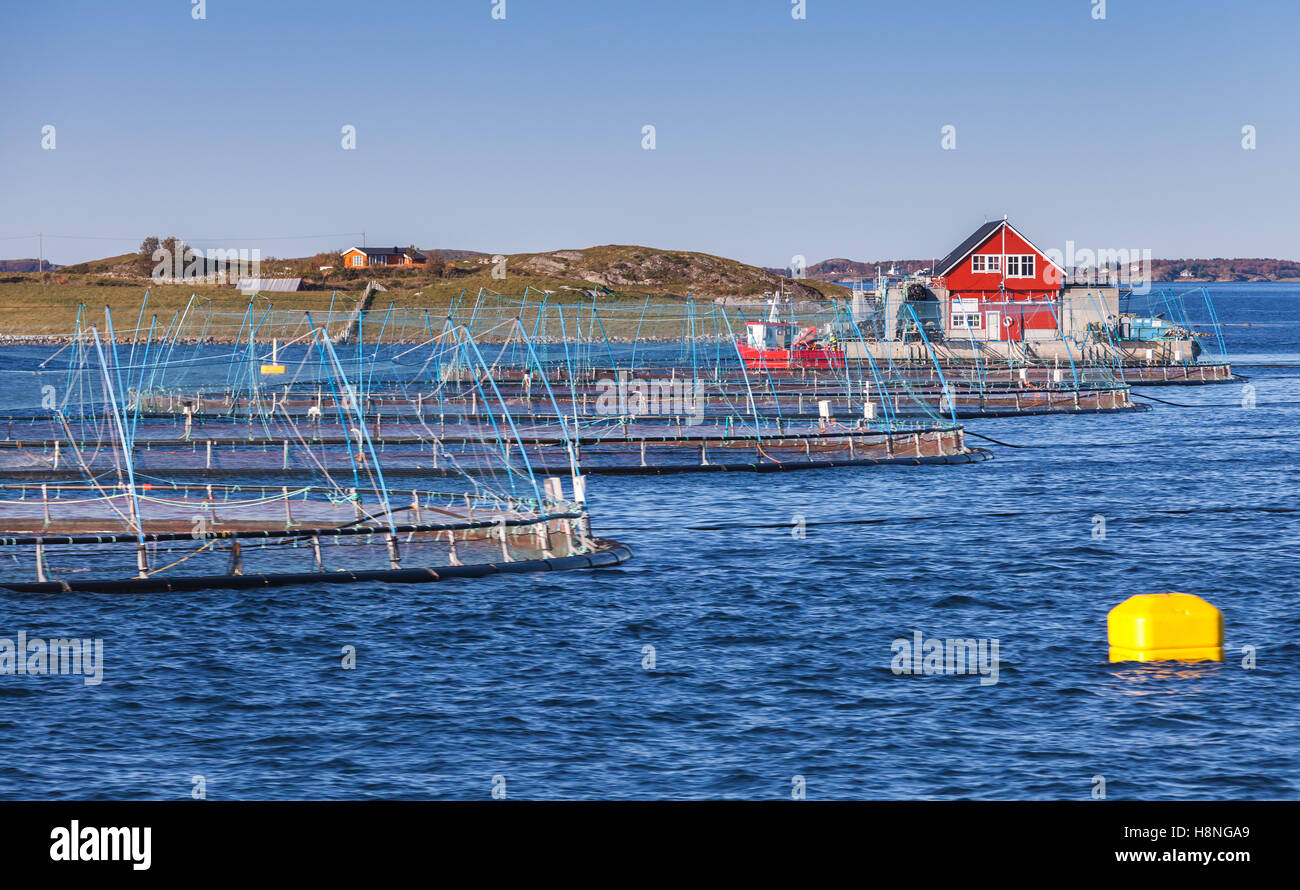 Norwegian fish farm for salmon growing in natural environment. Sea ...