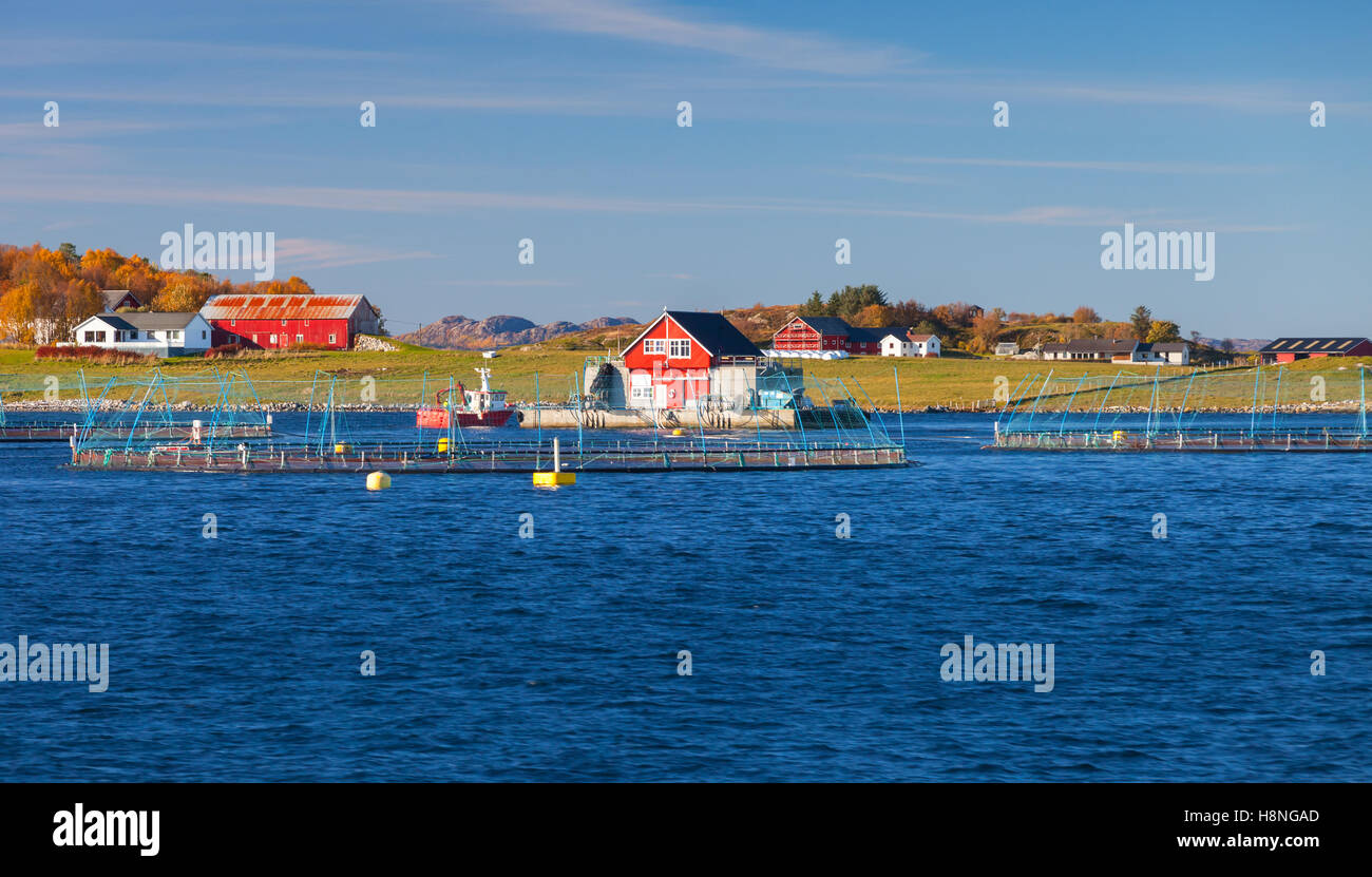 Norwegian fish farm for salmon growing. Sea fjord Stock Photo - Alamy