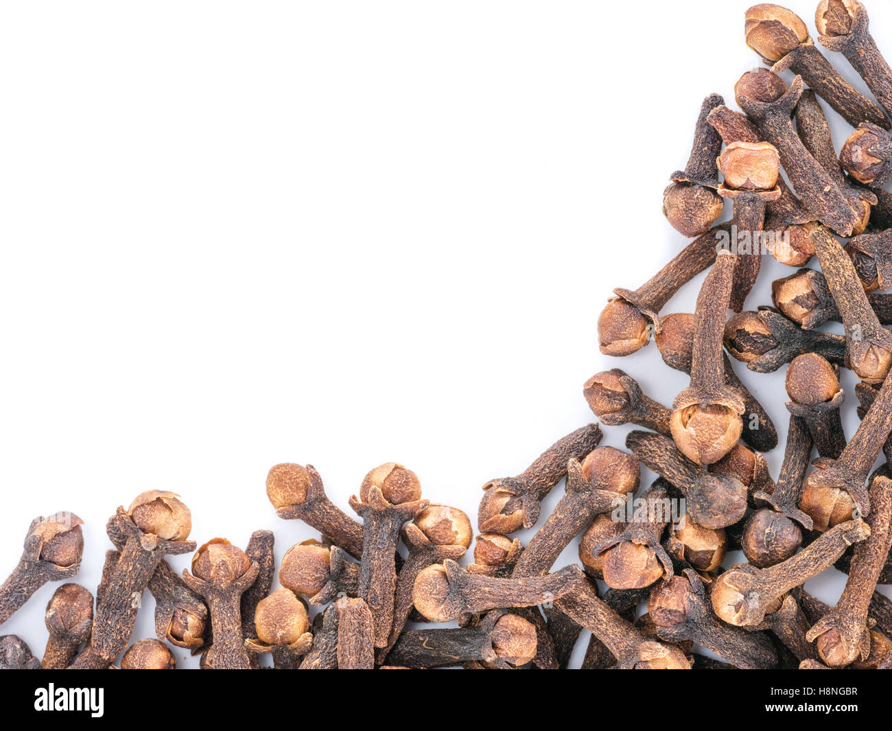 Cloves spice on white background with copy space. Isolated one edge ...