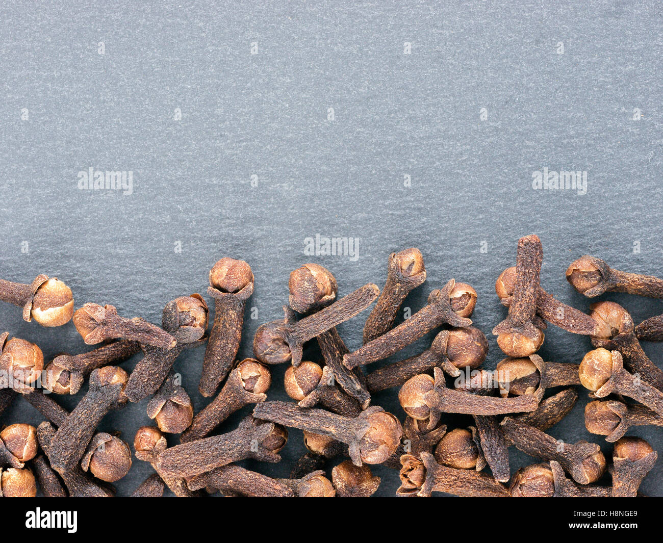 Cloves spice on gray slate background with copy space. Isolated one ...