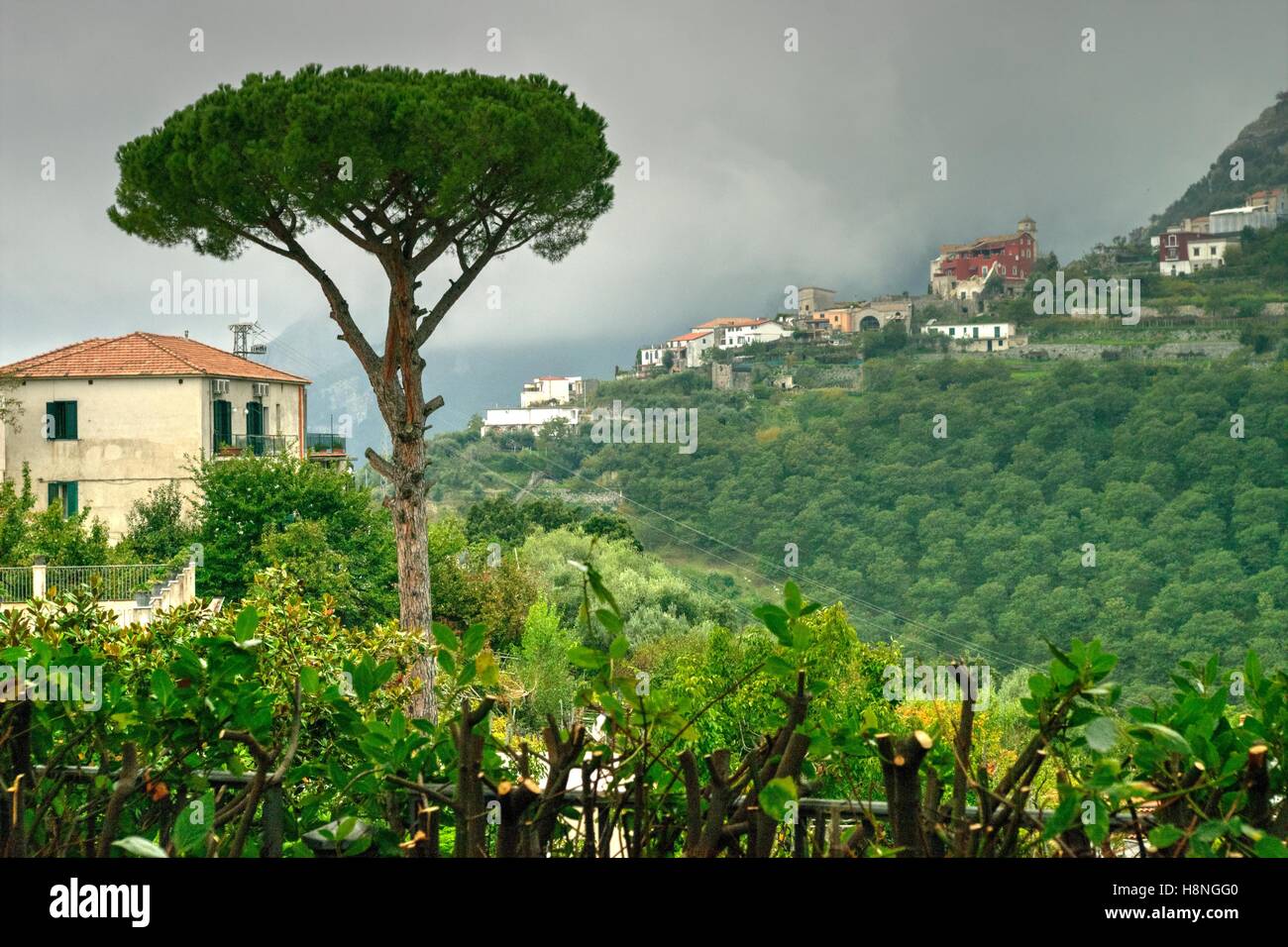 Ravello trees hi-res stock photography and images - Alamy
