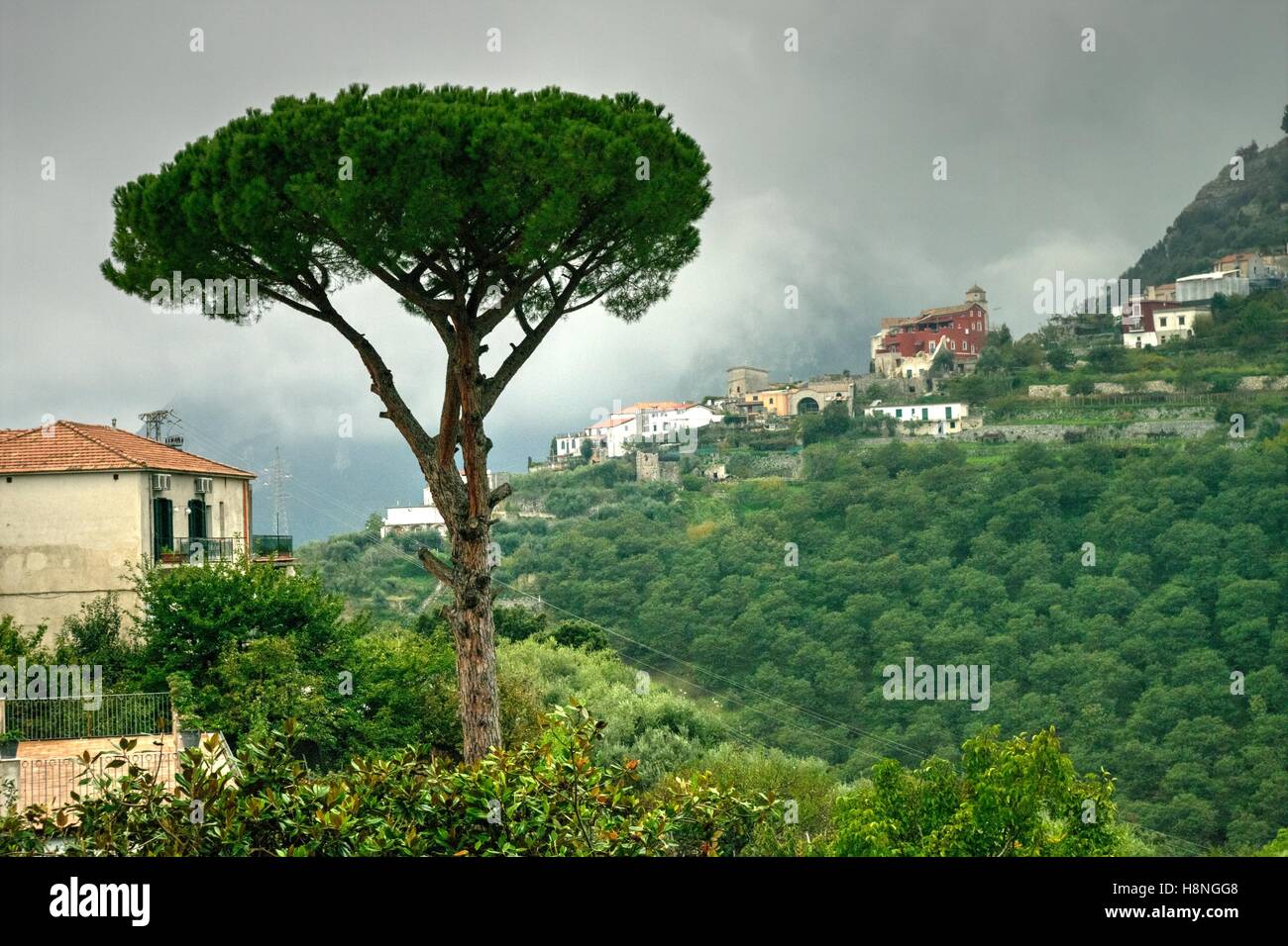 Ravello trees hi-res stock photography and images - Alamy