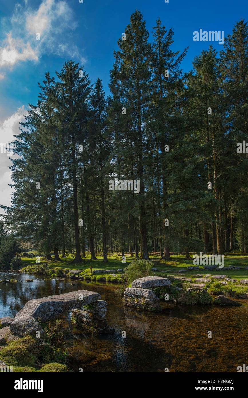 Clapper Bridge and East Dart river at Bellever on Dartmoor Stock Photo ...
