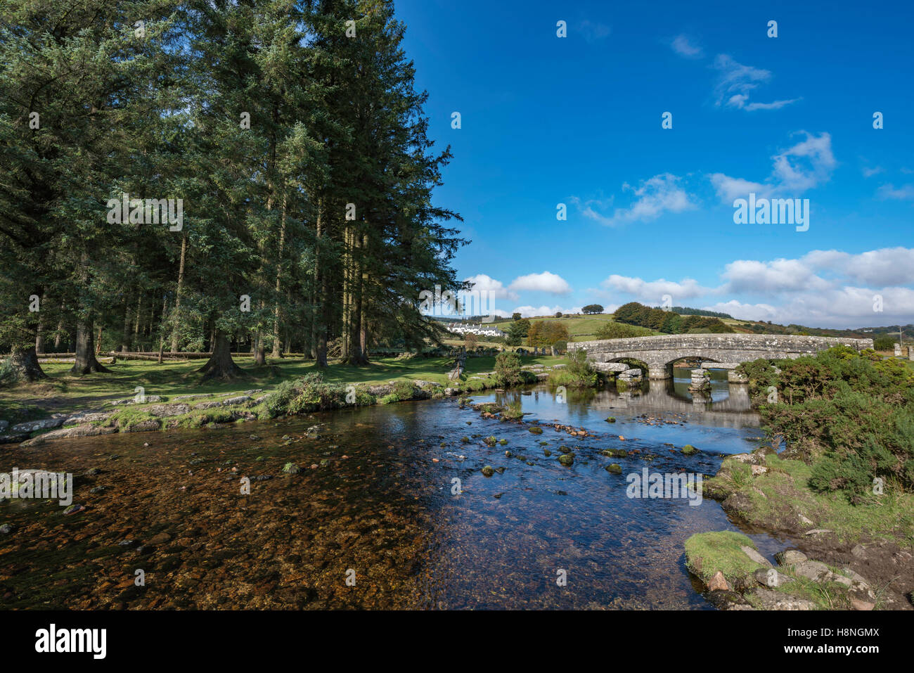 Woods and bridge over The East Dart River on Dartmoor Stock Photo - Alamy