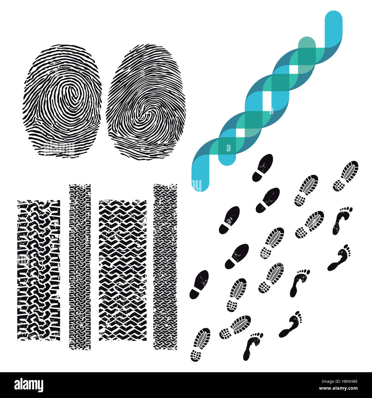 Keeping track of tracks, genetic, fingerprint, footprint Stock Photo ...