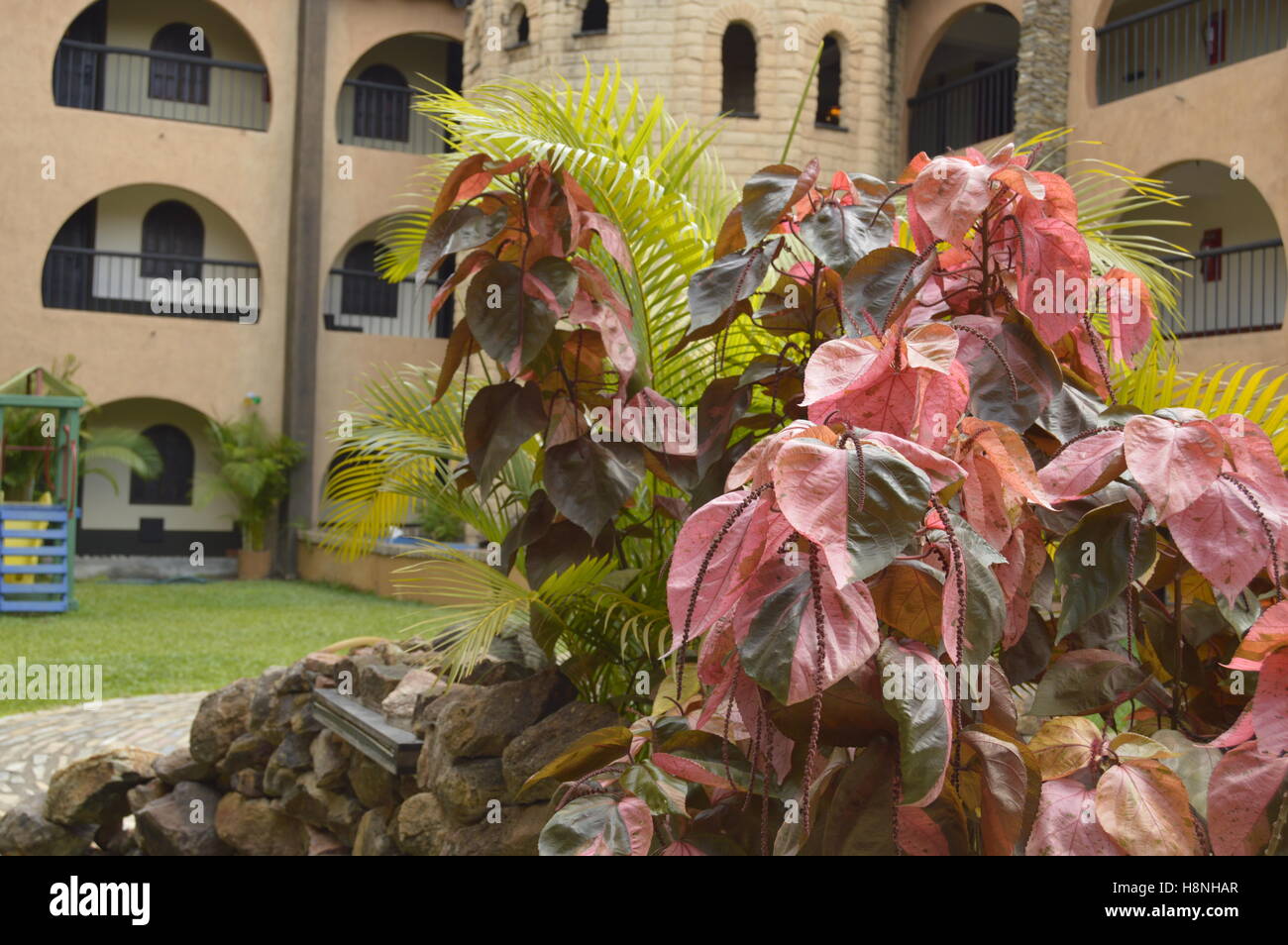 Venezuela building windows hi-res stock photography and images - Alamy