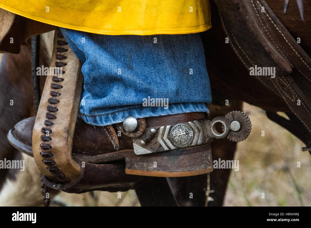 Closeup of cowboy boot in stirrup on horseback Stock Photo - Alamy