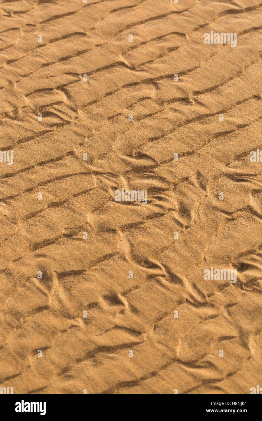 Ripple formation hi-res stock photography and images - Alamy