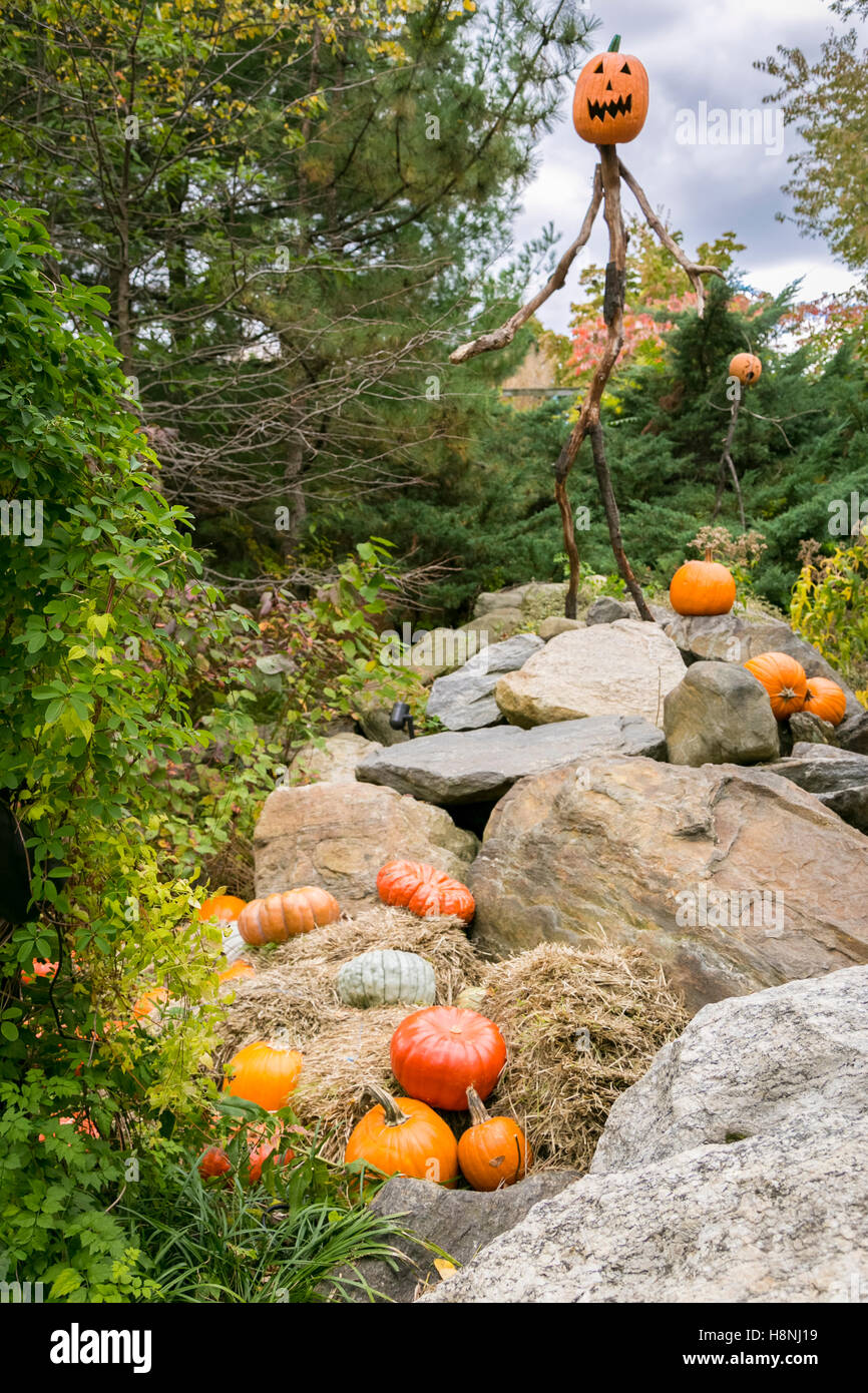 New York City, NY, USA. Fall at the Botanical Gardens Stock Photo - Alamy