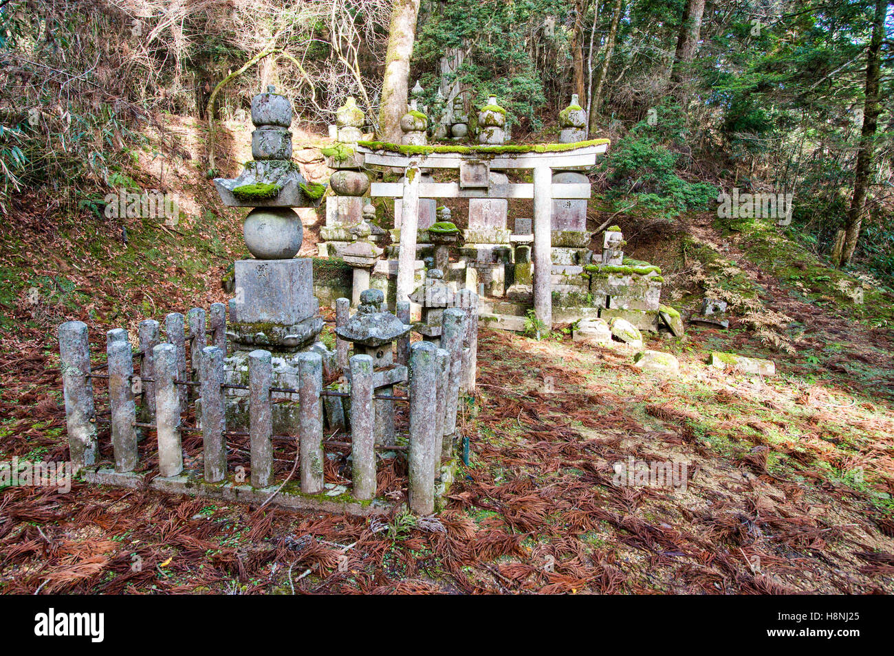 Japan, Koyasan, Okunoin cemetery. Gorin-to and stone lantern surrounded ...
