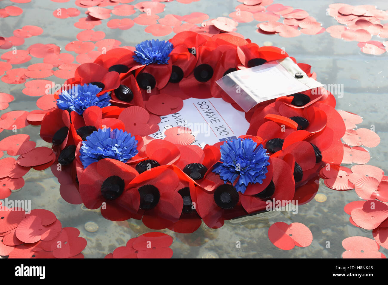 Poppy Wreath,Armistice Day,The Royal British Legion,Silence in the ...