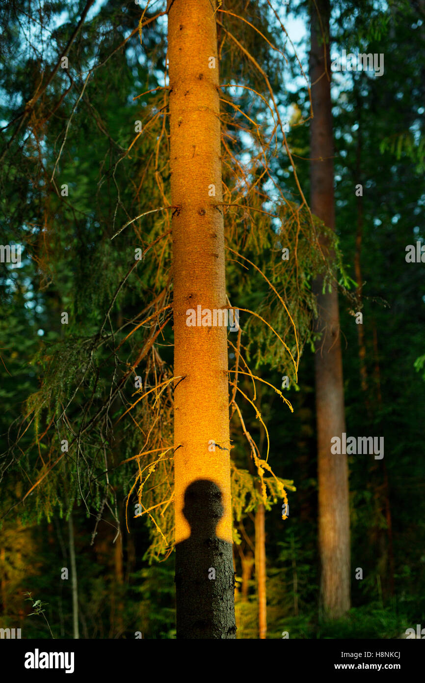 Human shadow forest hi-res stock photography and images - Alamy