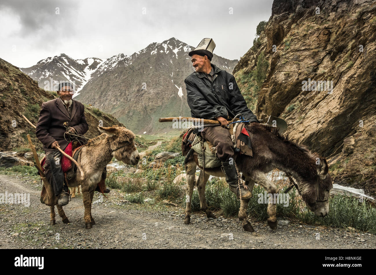 Happy donkey hi-res stock photography and images - Alamy