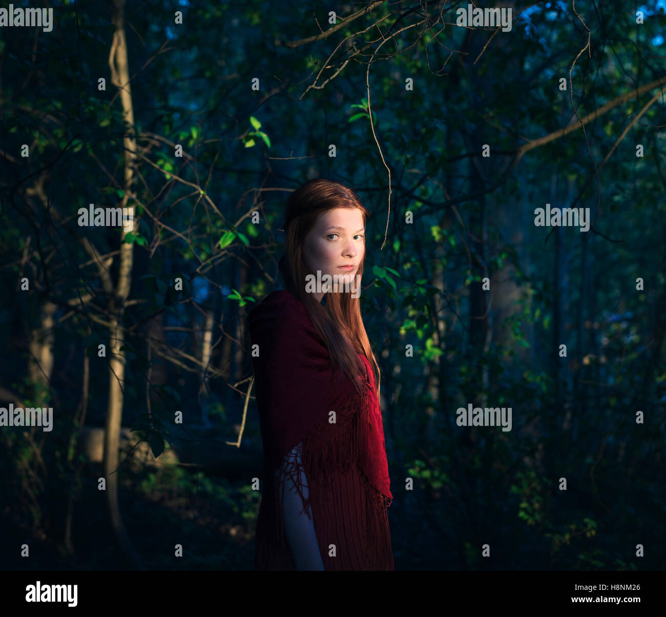 Forest portraits hi-res stock photography and images - Alamy