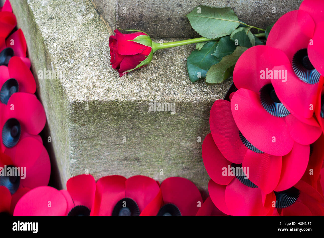 Old soldiers on remembrance sunday hi-res stock photography and images ...