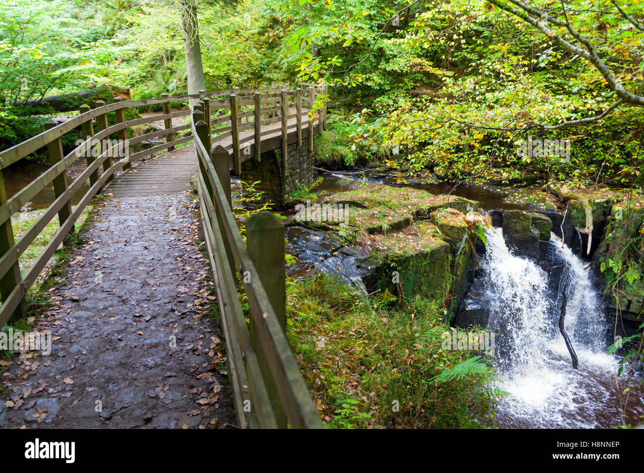 Waterfall at Hareshaw Linn near Bellingham in Northumberland, England ...