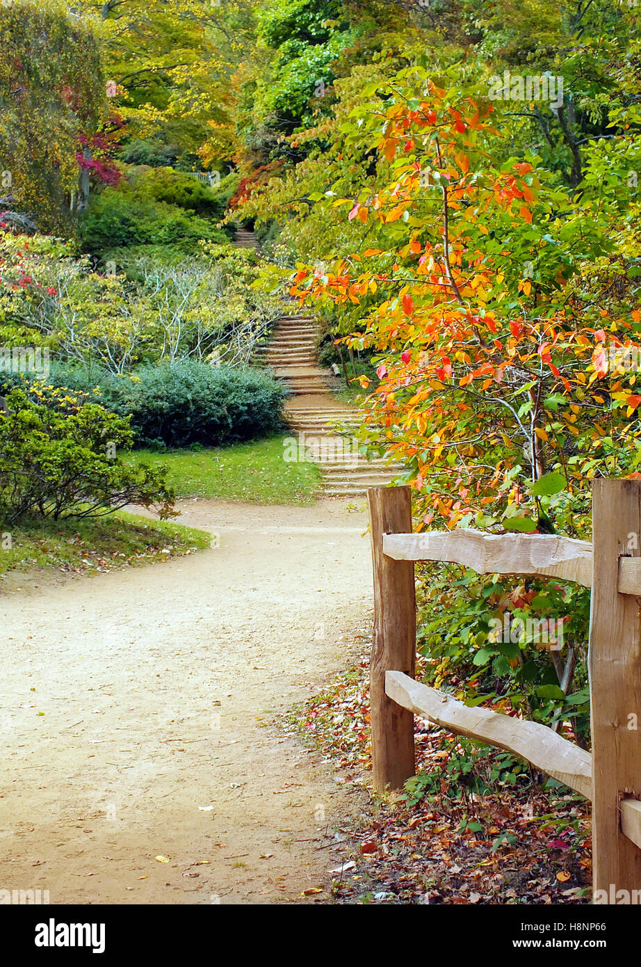 Shrubbery pathway hi-res stock photography and images - Alamy