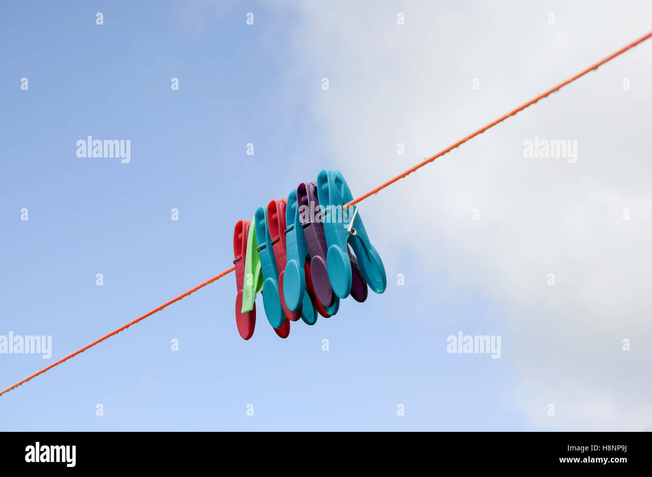 Clothes pegs on washing line Stock Photo - Alamy