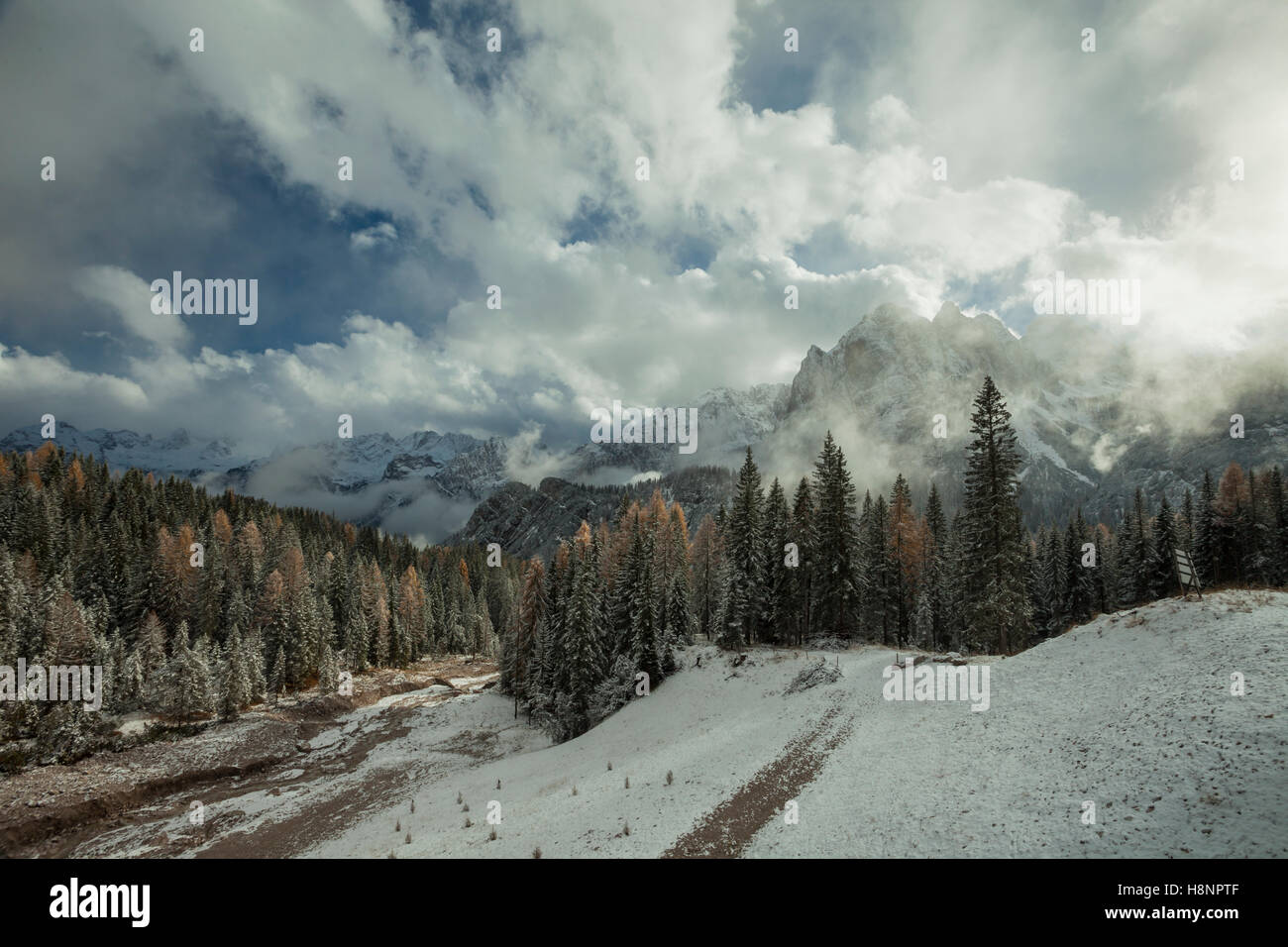 Early snow in the Dolomites near Cortina d'Ampezzo, Italy Stock Photo ...