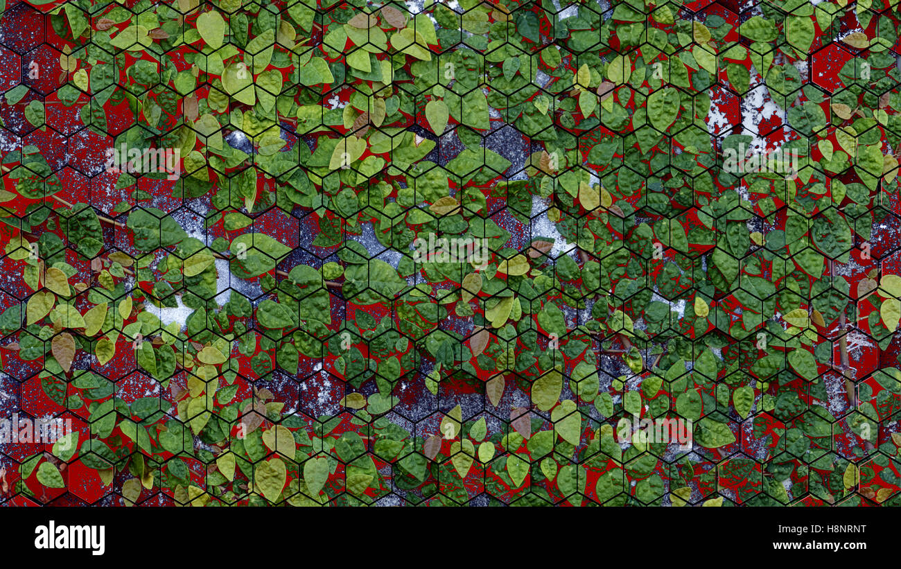 The 3d rendering colorful hexagon pattern with nice color Stock Photo ...