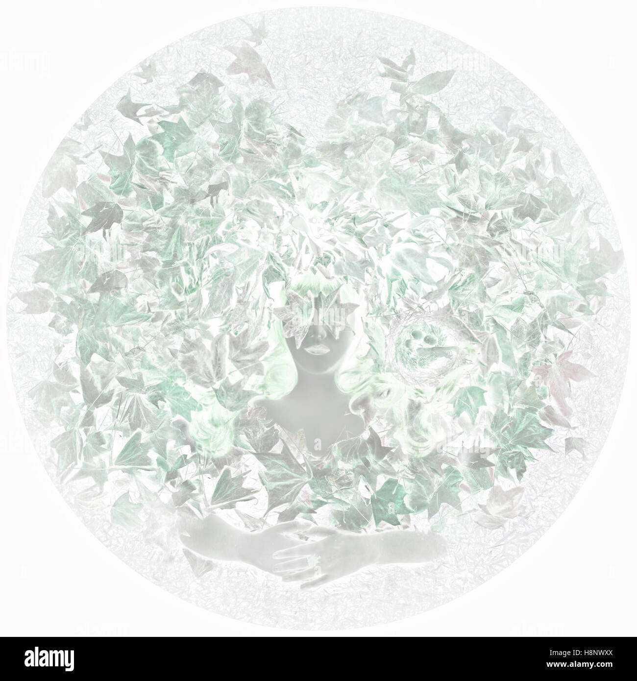 Back to Earth Stock Photo - Alamy