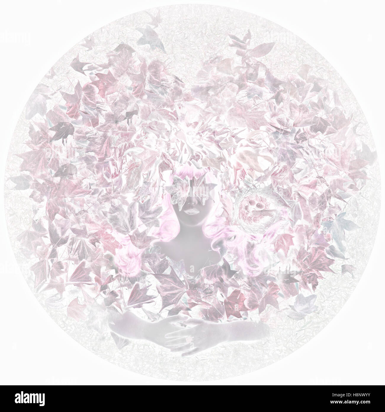 Back to Earth Stock Photo - Alamy