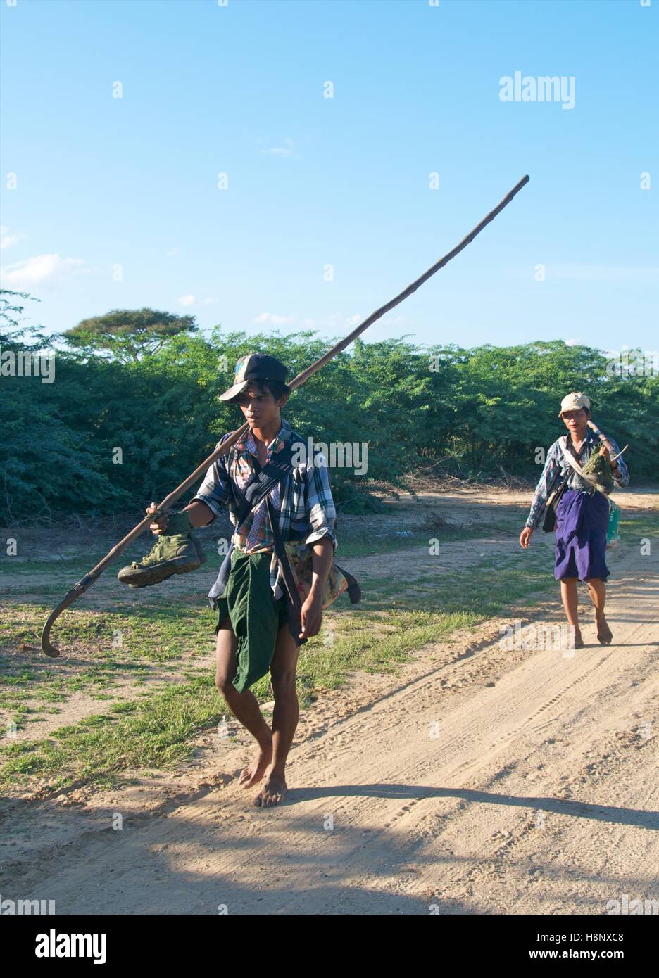 Bagan, Myanmar - November 12, 2014. Farmers in the Bagan plain walking ...