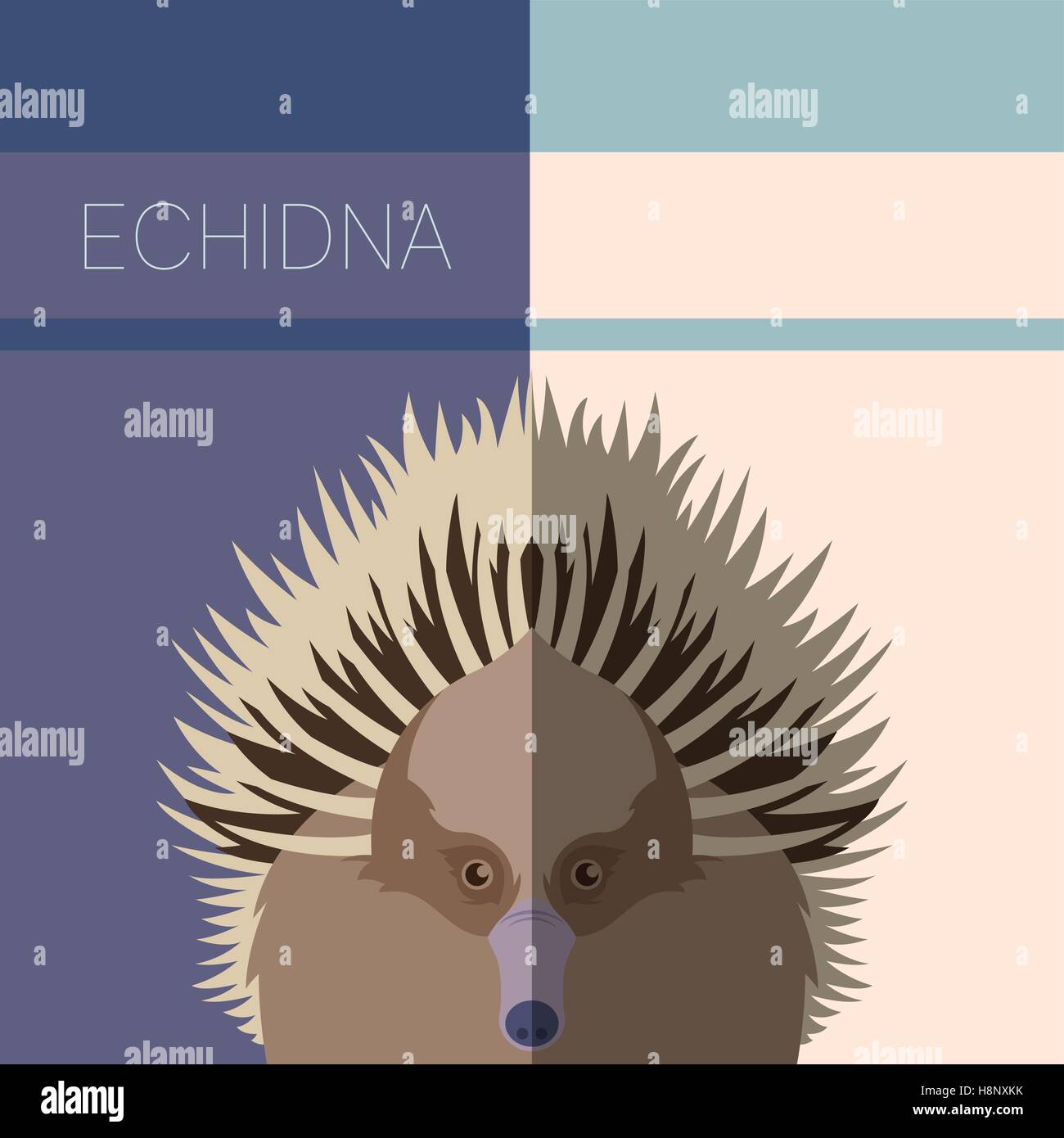 Single animal mammal marsupial Stock Vector Images - Alamy