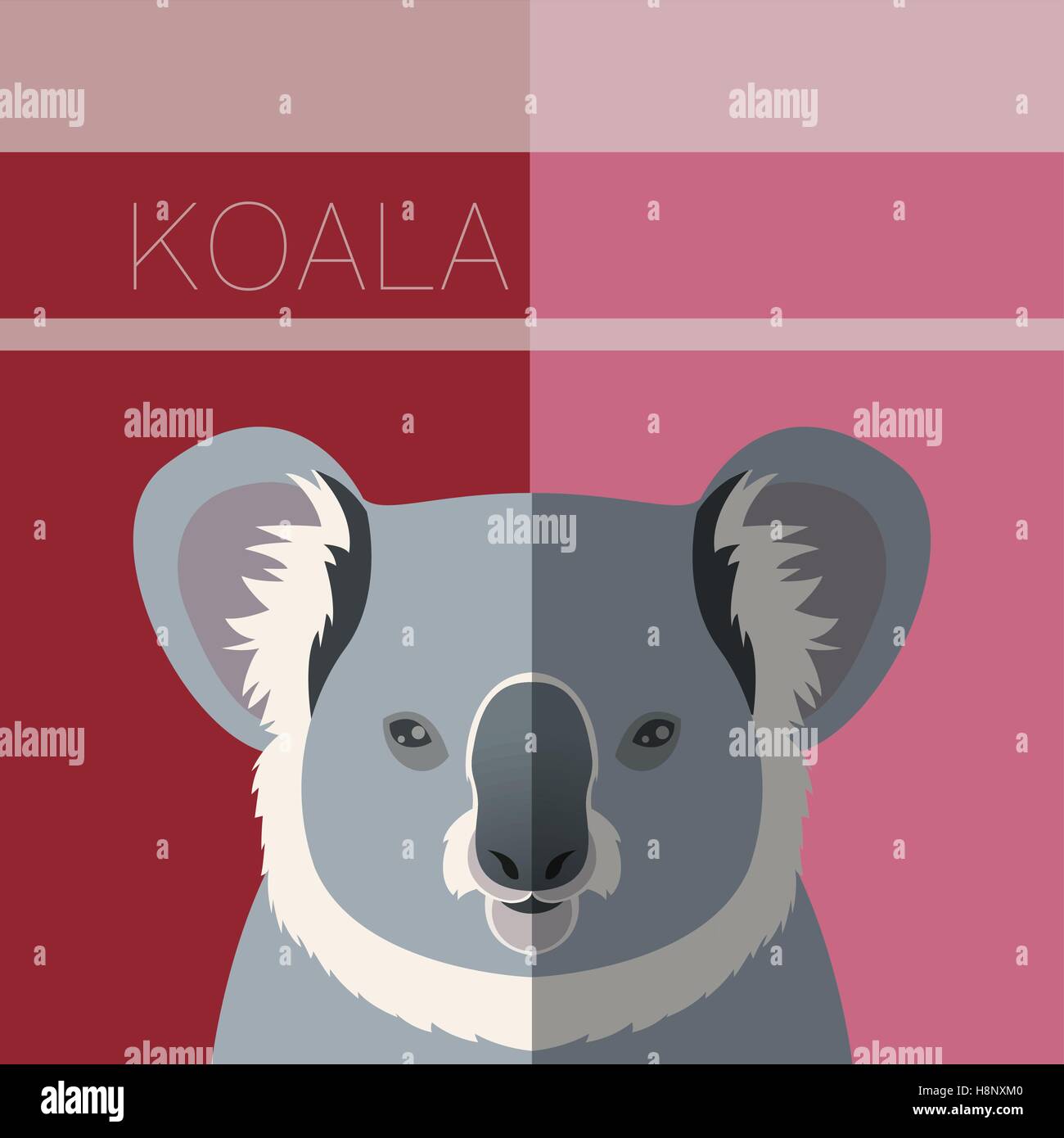 Vector image of the Koala flat postcard Stock Vector Image & Art - Alamy