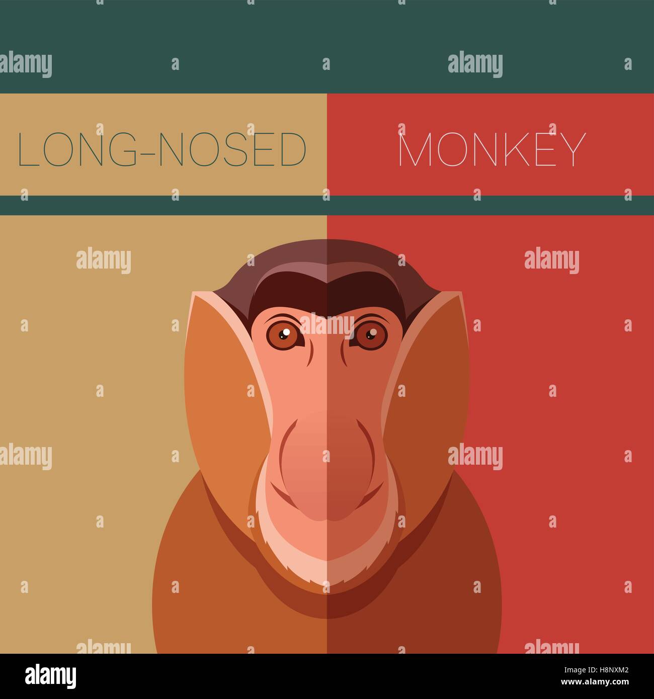 Proboscis monkey sabah Stock Vector Images - Alamy