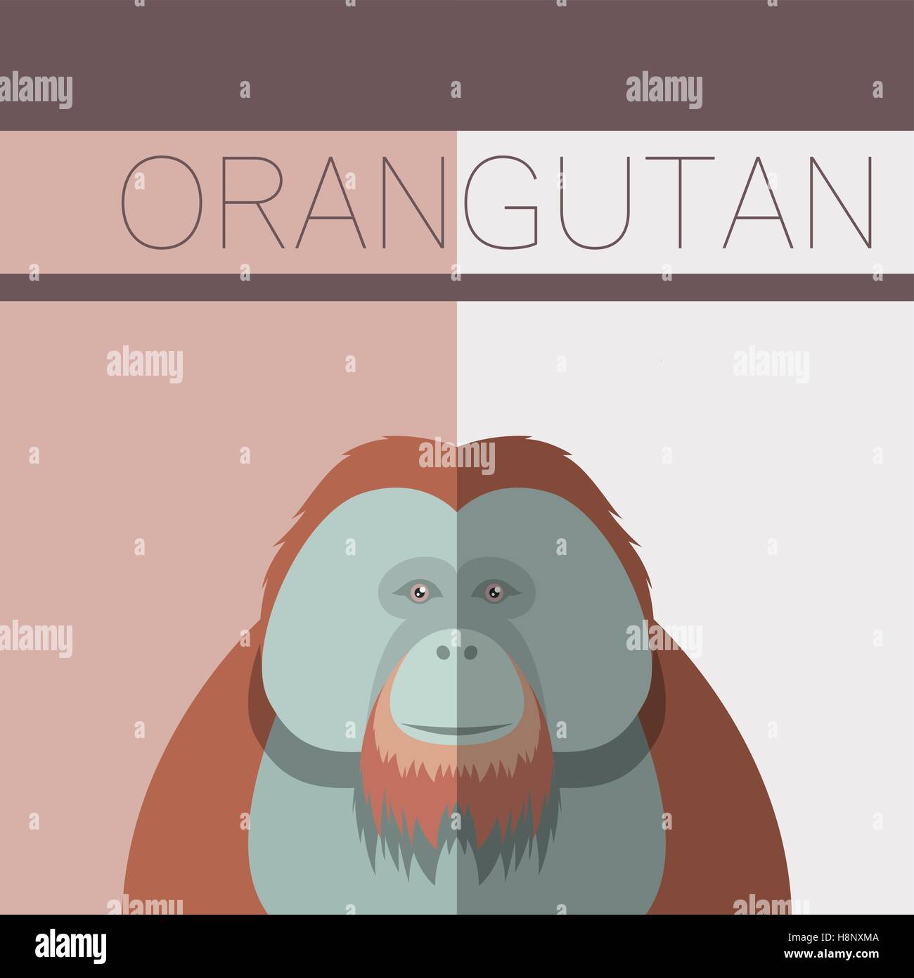 Baby orangutan white Stock Vector Images - Alamy