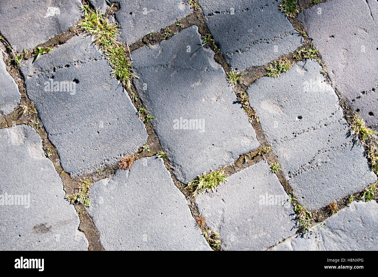 Bluestone pavers form a Victorian-era laneway in suburban Melbourne ...