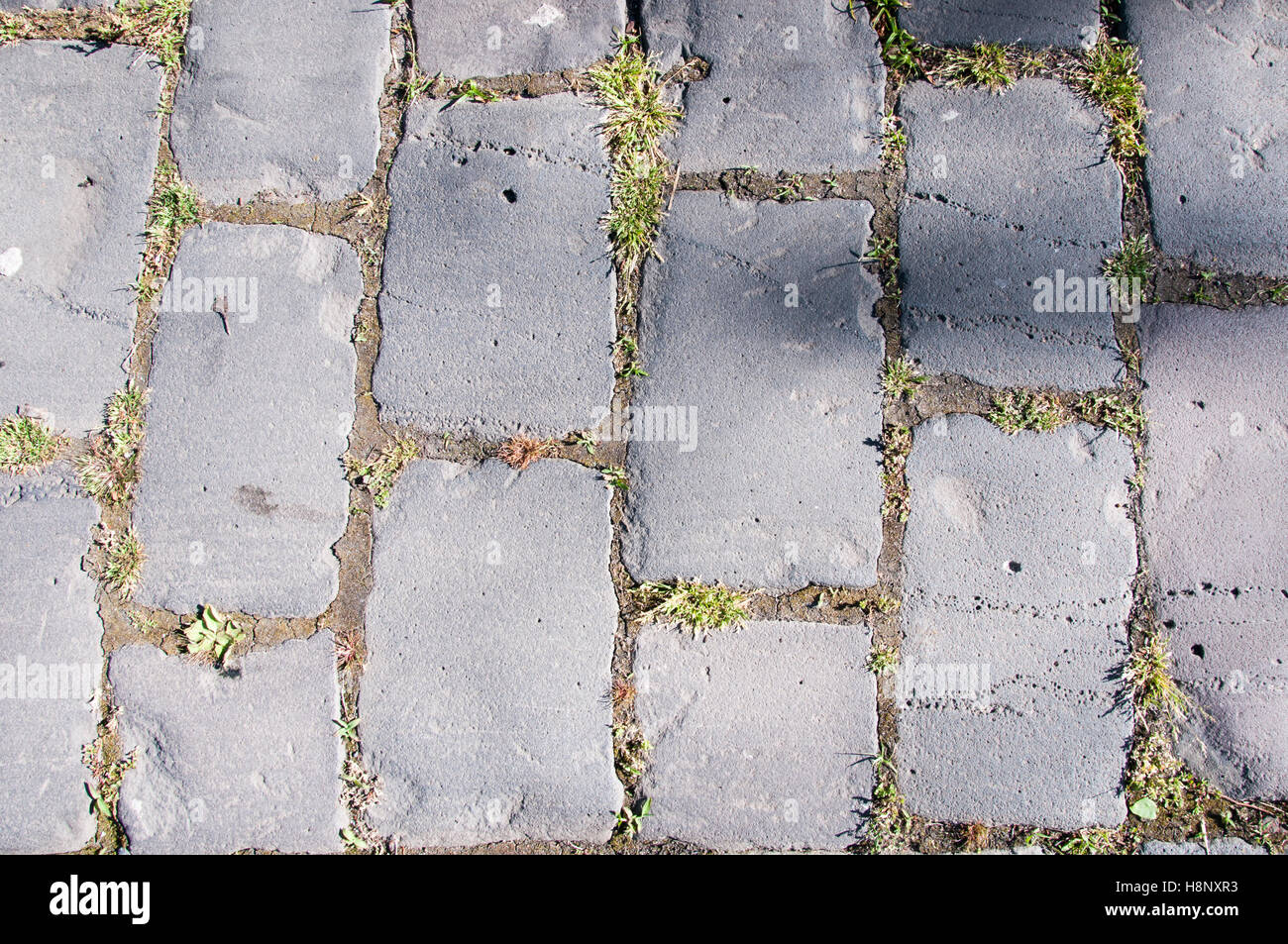 Bluestone pavers form a Victorian-era laneway in suburban Melbourne ...