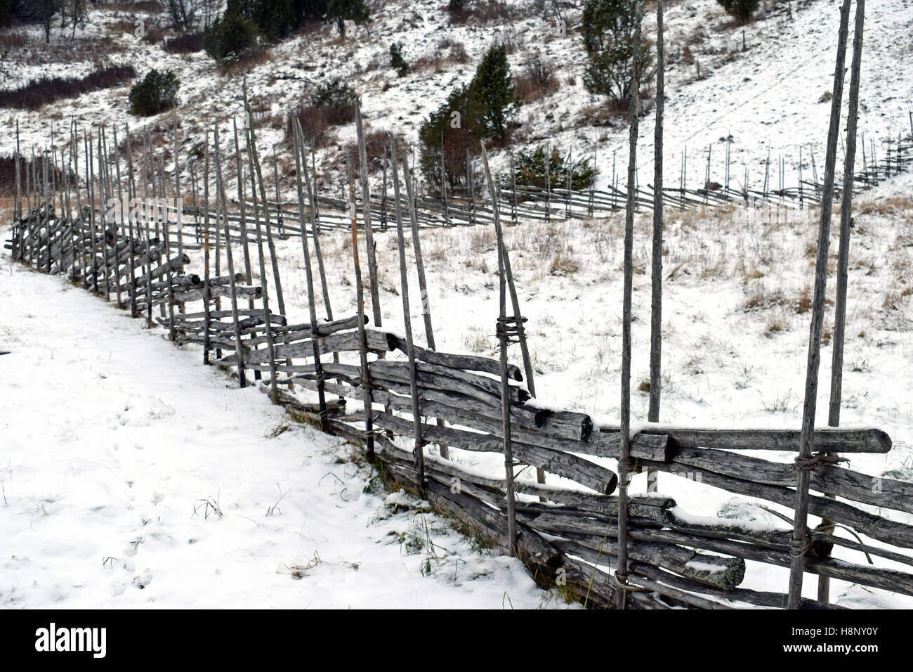 Finnish wooden roundpole fence on wintertime Stock Photo - Alamy