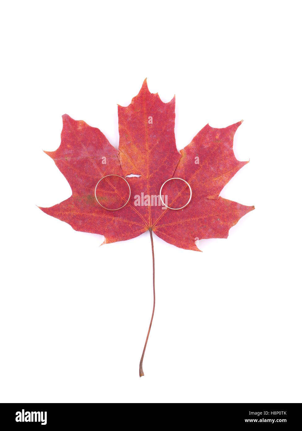 Wedding rings on fall foliage hi-res stock photography and images - Alamy