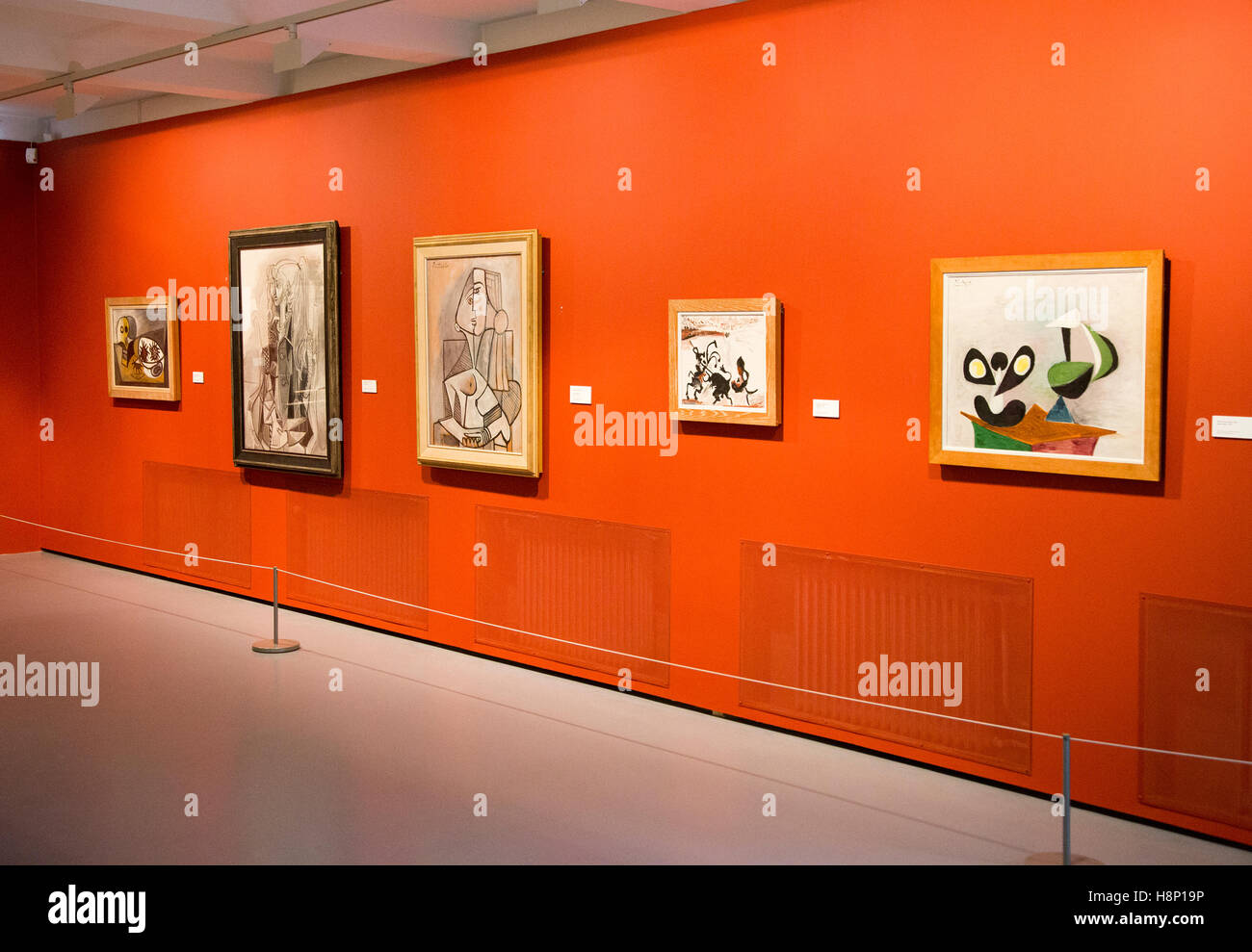 Picasso Paintings Gallery