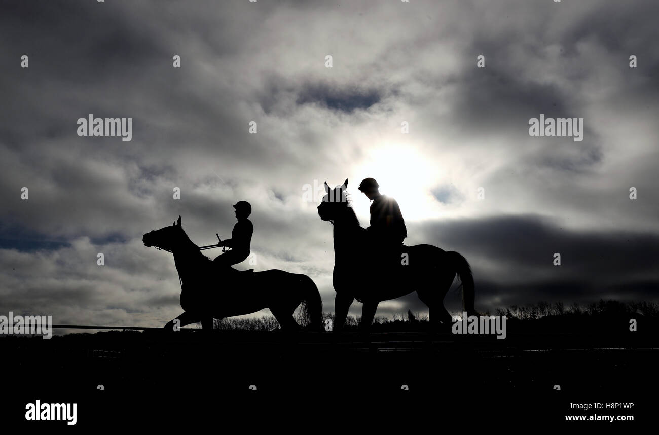 Many Clouds and Vyta Du Roc during the Hennessey Gold Cup preview day ...