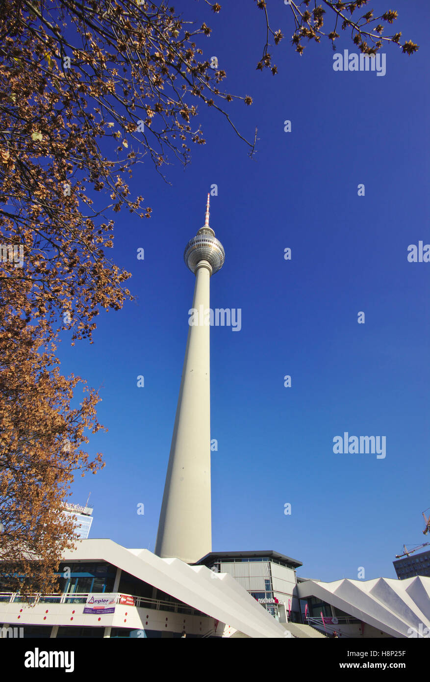 Fernsehturm (tv tower), Germany, Berlin Mitte Stock Photo - Alamy