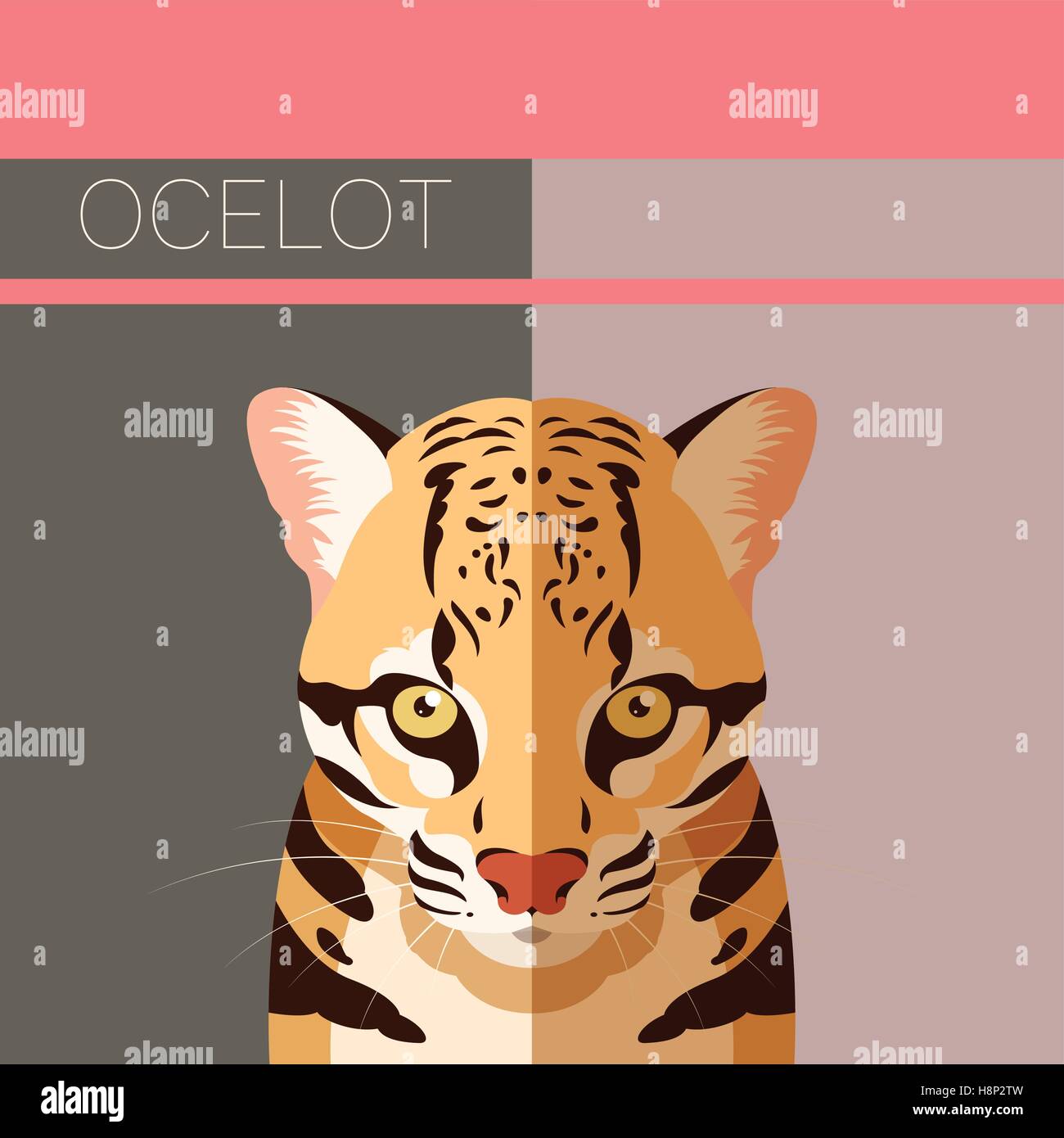 Ocelot head hi-res stock photography and images - Alamy