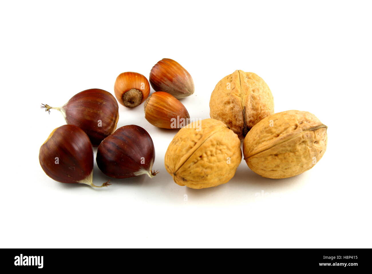 Hazel nuts and chestnuts hi-res stock photography and images - Alamy